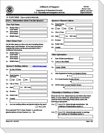 Online software access for you to complete your US immigration application